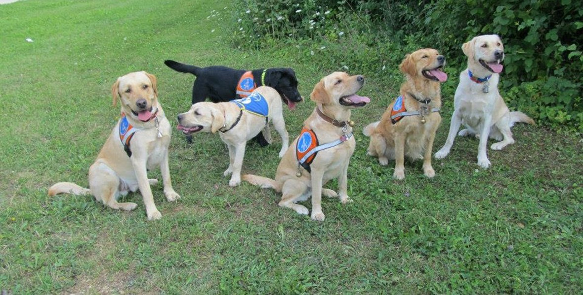 Feeling & Co – Les yeux de leur maître