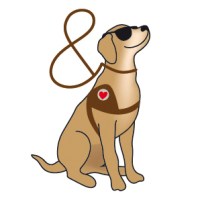 La vie du chien guide – Feeling & Co